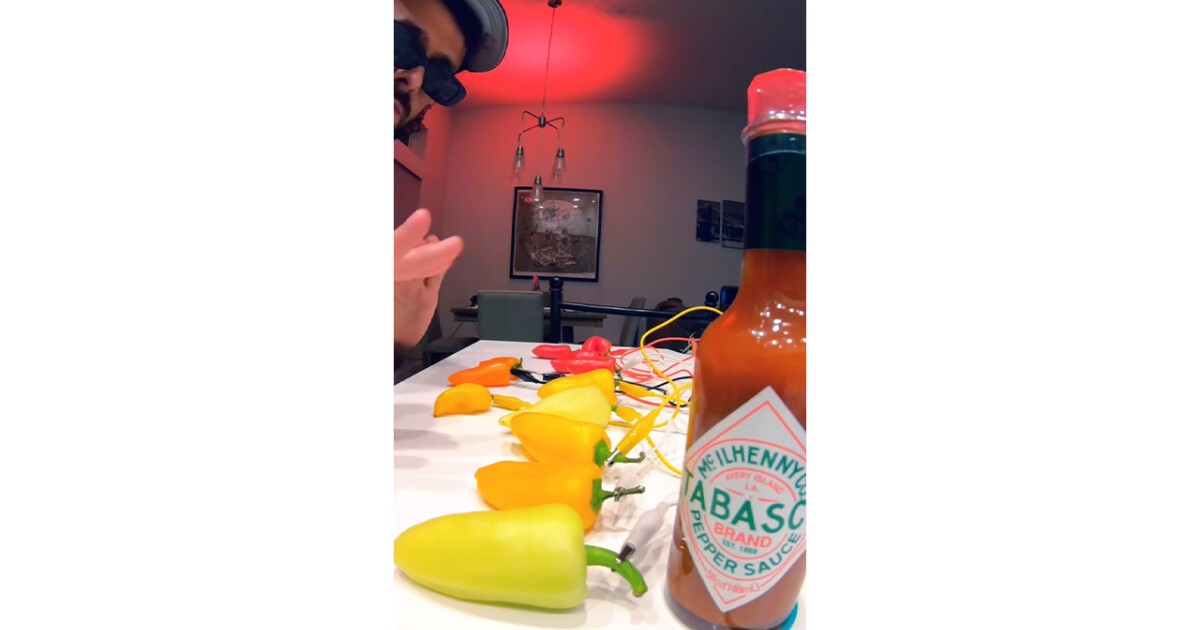 iFLYER: ロサンゼルスのアーティストRoy LaCroix (ロイ・ラクロワ) が "唐辛子" を楽器にしたダンスミュージックの新曲 ...